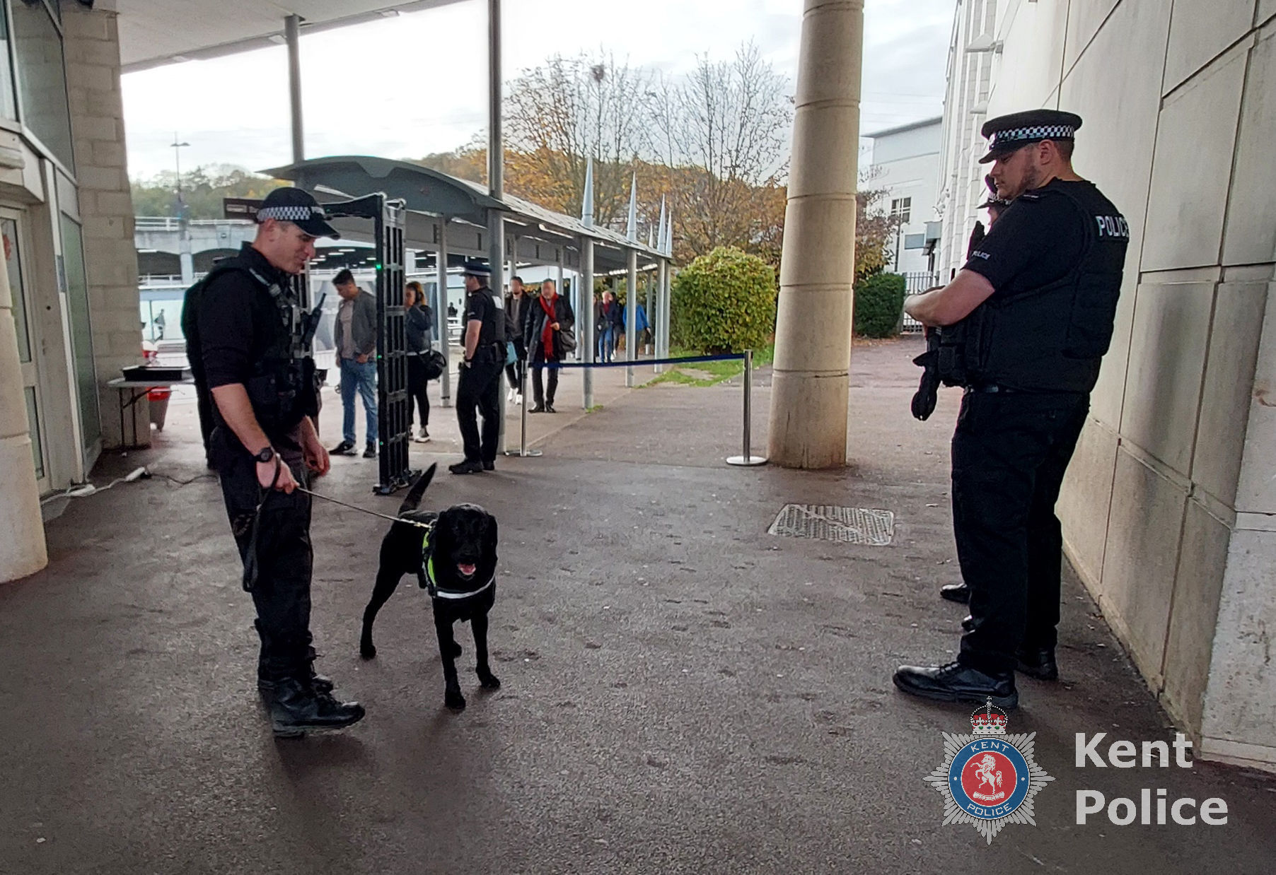 Knives seized and schools visited as Kent Police highlights the dangers ...